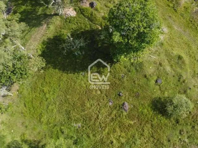 Terreno / Lote para Venda em Massaranduba/SC Patrimônio 1 Quartos