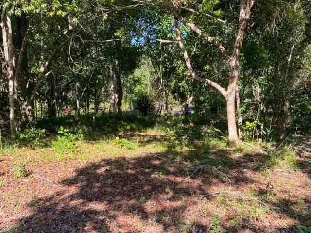 Terreno / Lote para Venda em Mata de São João/BA Açu da Torre