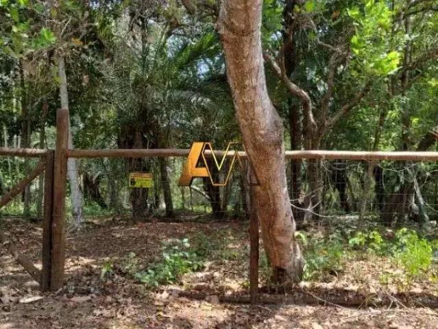 Terreno / Lote para Venda em Mata de São João/BA Açu da Torre