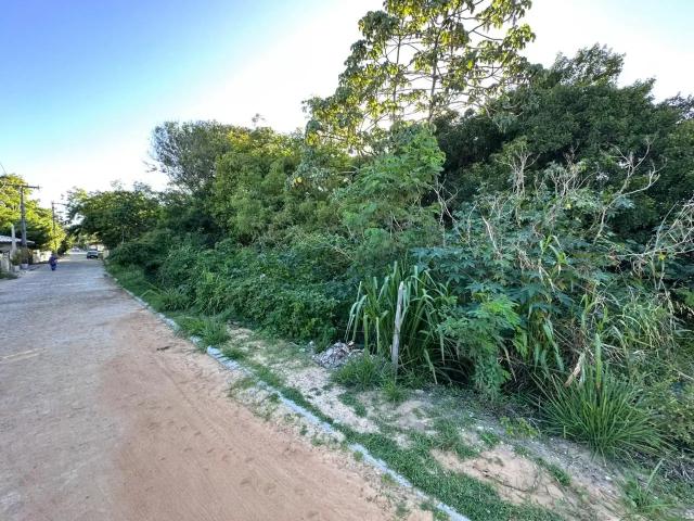 Terreno / Lote para Venda em Mata de São João/BA Imbassai
