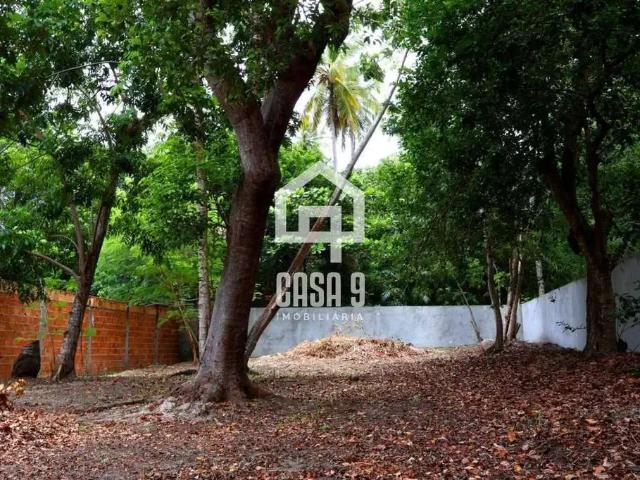 Terreno / Lote para Venda em Mata de São João/BA Imbassai
