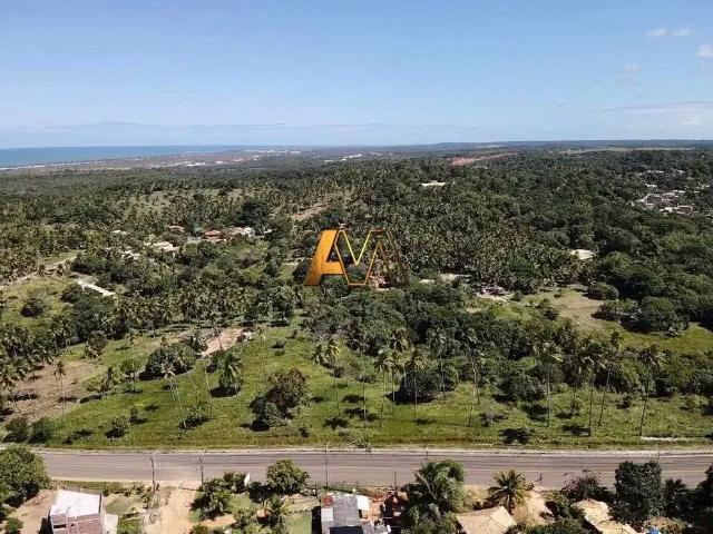 Terreno / Lote para Venda em Mata de São João/BA Imbassai