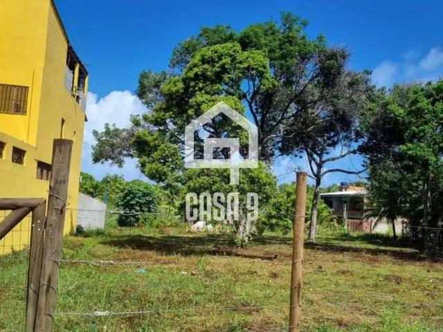 Terreno / Lote para Venda em Mata de São João/BA Imbassai