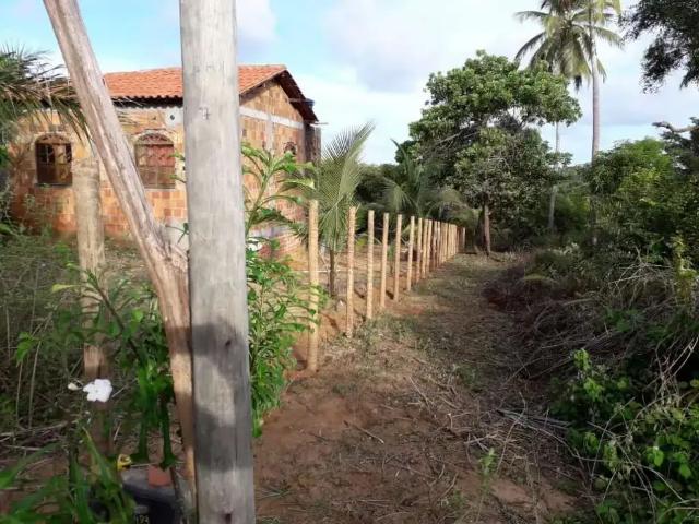 Terreno / Lote para Venda em Mata de São João/BA Imbassai