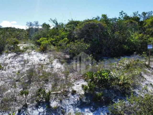 Terreno / Lote para Venda em Mata de São João/BA Praia do Forte