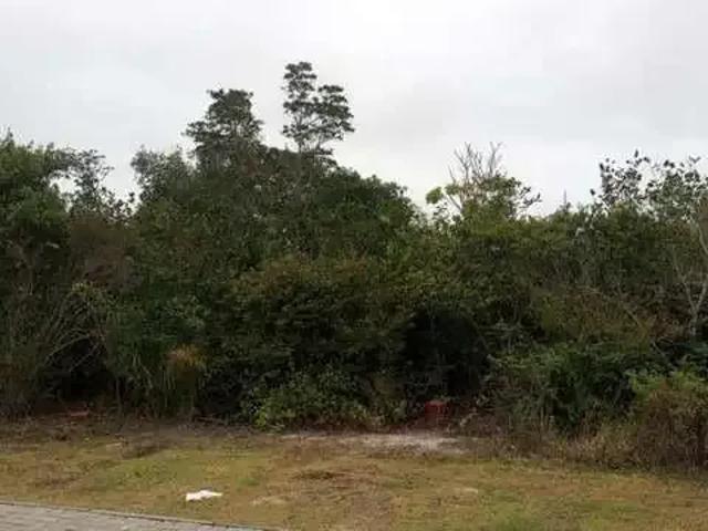 Terreno / Lote para Venda em Mata de São João/BA Praia do Forte