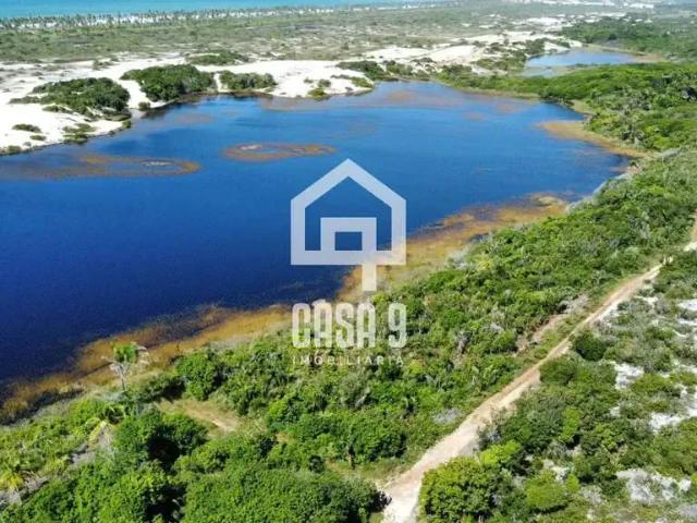 Terreno / Lote para Venda em Mata de São João/BA Praia do Forte