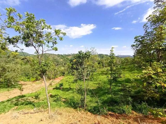 Terreno / Lote para Venda em Mateus Leme/MG Azurita