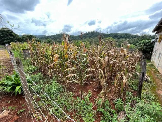Terreno / Lote para Venda em Mateus Leme/MG Azurita