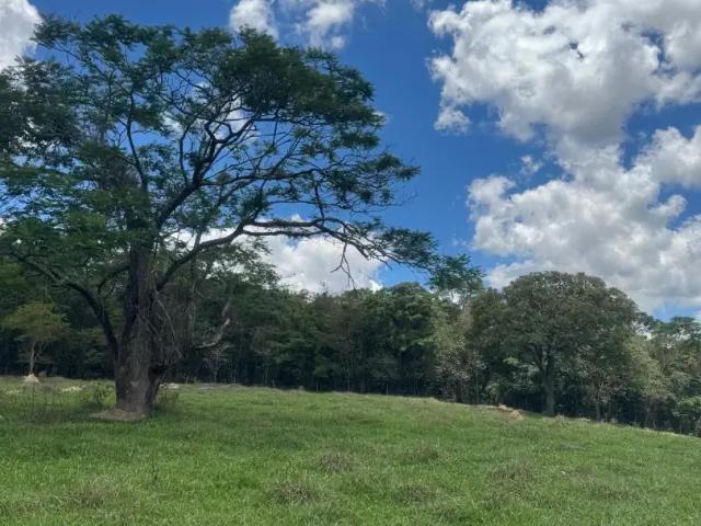 Terreno / Lote para Venda em Mateus Leme/MG Sitio Novo
