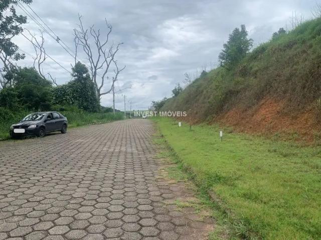 Terreno / Lote para Venda em Matias Barbosa/MG Alto Sereno