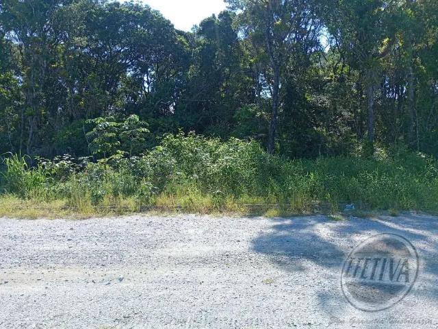 Terreno / Lote para Venda em Matinhos/PR Balneário Gaivotas