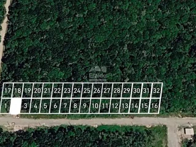 Terreno / Lote para Venda em Matinhos/PR Balneário Gaivotas