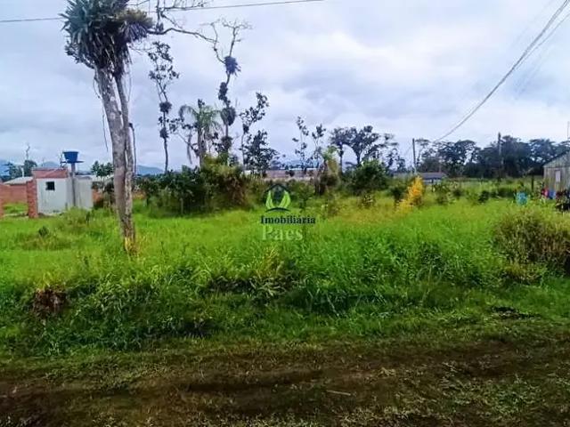 Terreno / Lote para Venda em Matinhos/PR Balneário Guaciara