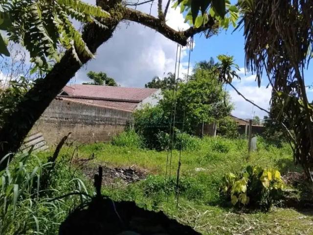 Terreno / Lote para Venda em Matinhos/PR Balneário Guaciara