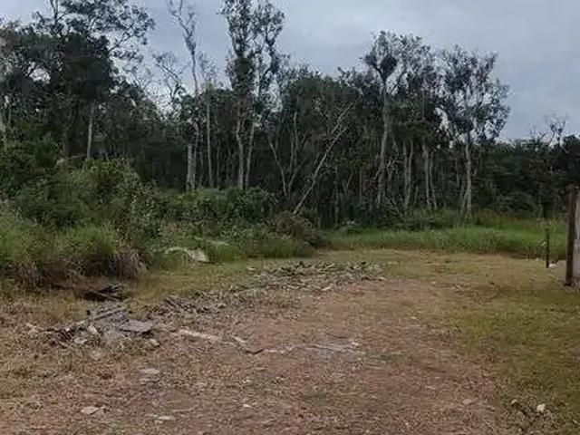 Terreno / Lote para Venda em Matinhos/PR Curraes