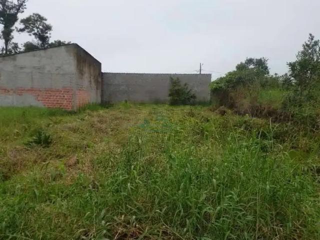 Terreno / Lote para Venda em Matinhos/PR Costa Azul