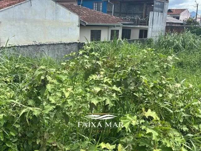 Terreno / Lote para Venda em Matinhos/PR Perequê