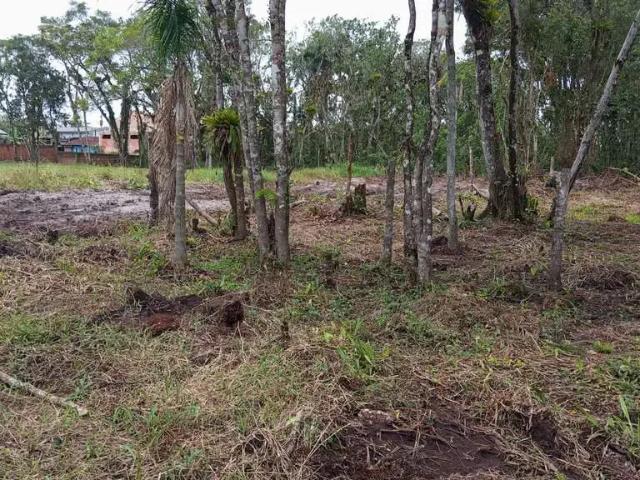 Terreno / Lote para Venda em Matinhos/PR Praia Grande