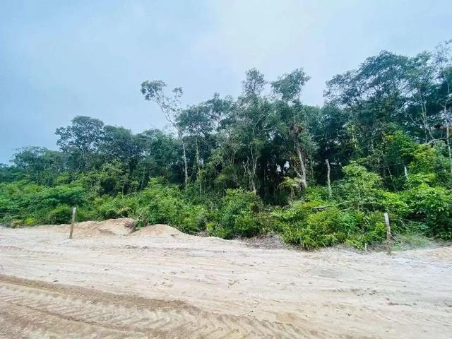 Terreno / Lote para Venda em Matinhos/PR Praia Grande