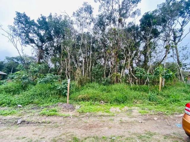 Terreno / Lote para Venda em Matinhos/PR Praia Grande