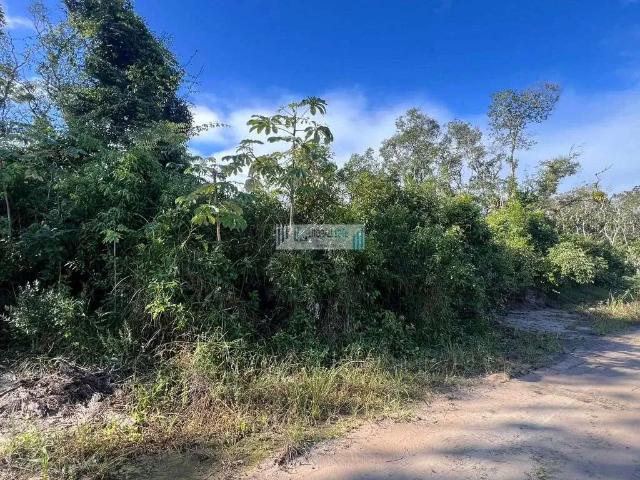 Terreno / Lote para Venda em Matinhos/PR Praia Grande