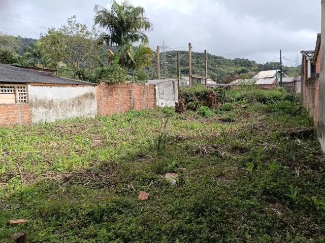 Terreno / Lote para Venda em Matinhos/PR Sertãozinho