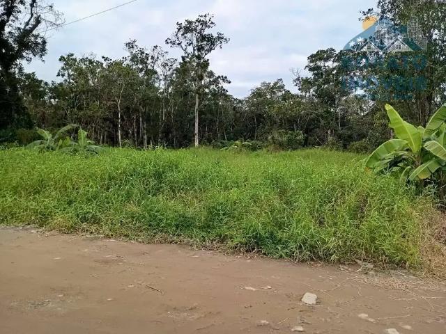 Terreno / Lote para Venda em Matinhos/PR Solymar