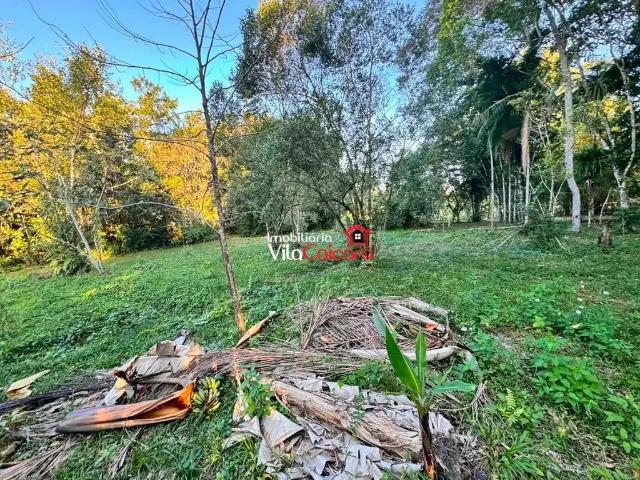 Terreno / Lote para Venda em Matinhos/PR Zona Rural