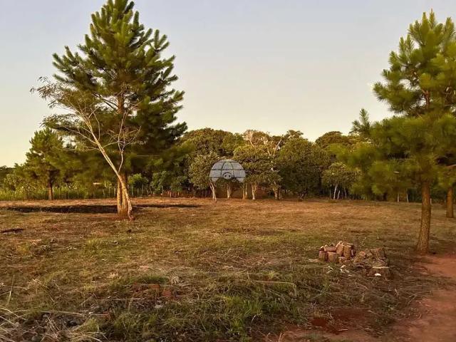 Terreno / Lote para Venda em Mato Castelhano/RS Centro