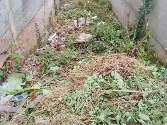 Terreno / Lote para Venda em Mauá/SP Jardim Ipê