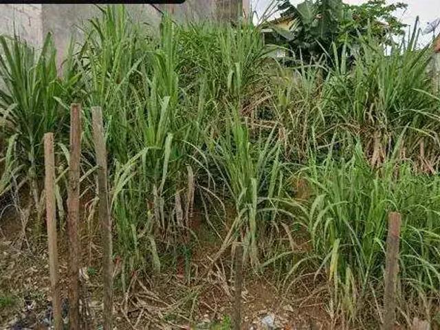 Terreno / Lote para Venda em Mauá/SP Vila Ana