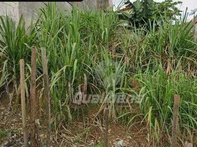 Terreno / Lote para Venda em Mauá/SP Vila Ana