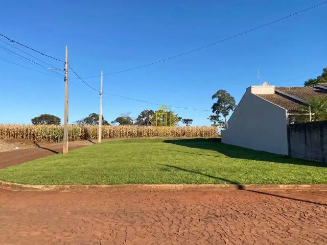 Terreno / Lote para Venda em Medianeira/PR Cidade Alta