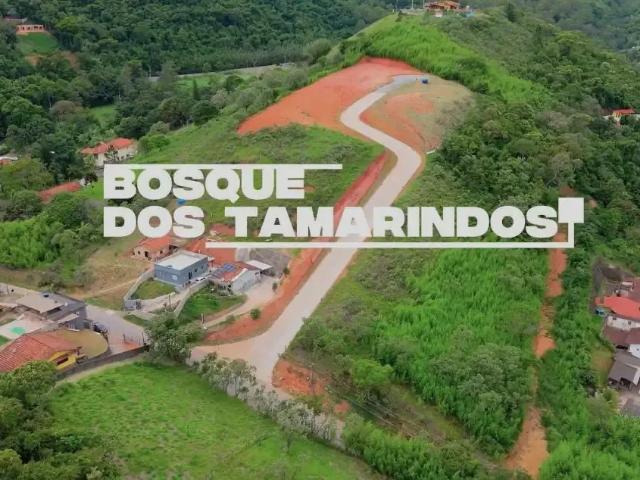 Terreno / Lote para Venda em Miguel Pereira/RJ Barão de Javary
