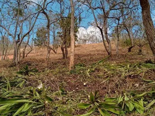 Terreno / Lote para Venda em Miguel Pereira/RJ Plante Café