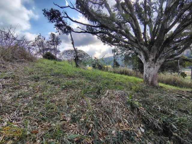 Terreno / Lote para Venda em Miguel Pereira/RJ Portal das Mansões