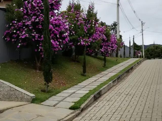 Terreno / Lote para Venda em Miguel Pereira/RJ Zona Rural