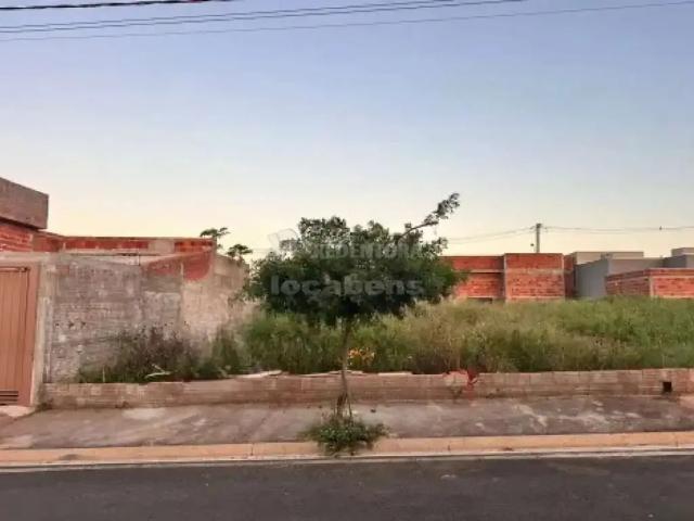 Terreno / Lote para Venda em Mirassol/SP Miravista Residencial