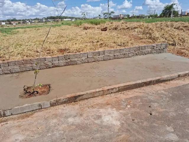 Terreno / Lote para Venda em Mirassol/SP Jardim Girassol