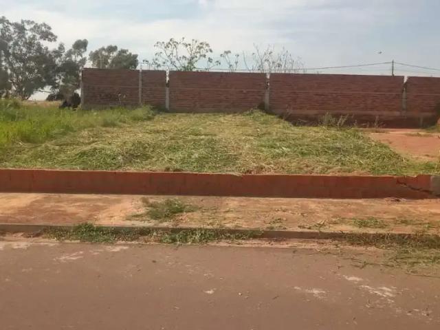 Terreno / Lote para Venda em Mirassol/SP Jardim Girassol