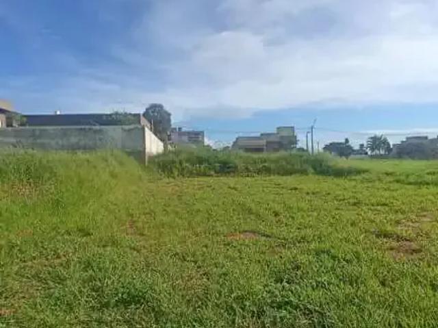 Terreno / Lote para Venda em Mirassol/SP Jardim Renascença