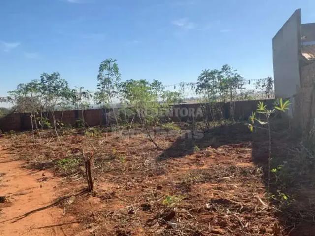 Terreno / Lote para Venda em Mirassol/SP Residencial Jardim Imperial