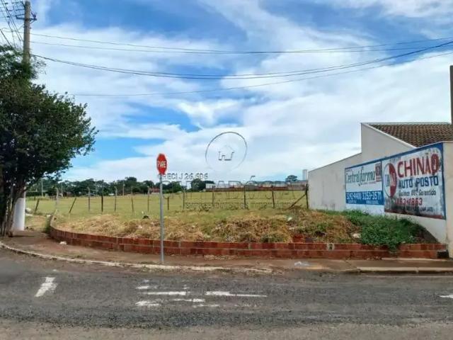 Terreno / Lote para Venda em Mirassol/SP Residencial Parque das Flores
