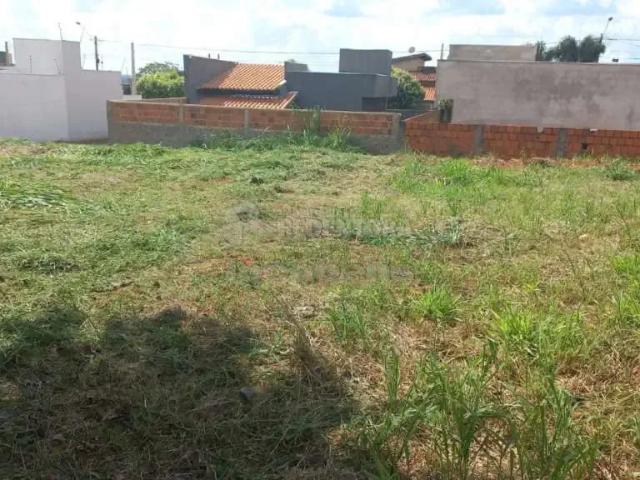 Terreno / Lote para Venda em Mirassol/SP Residencial Parque dos Ipês I