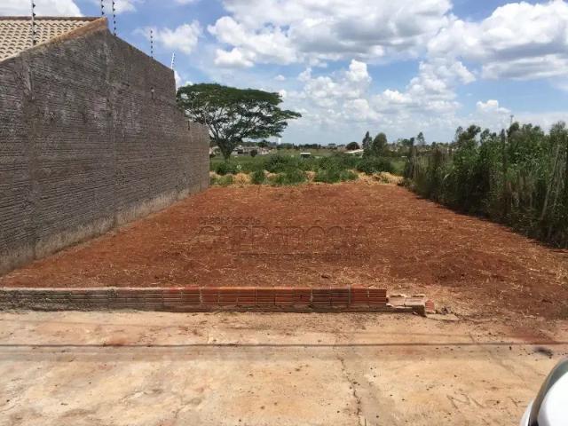 Terreno / Lote para Venda em Mirassol/SP Residencial Professor Matheus