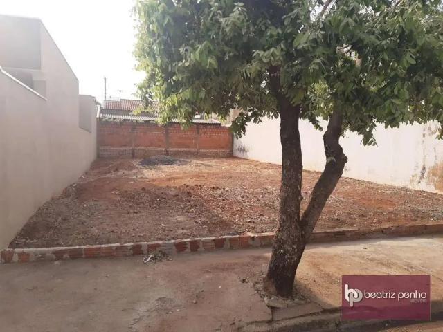 Terreno / Lote para Venda em Mirassol/SP Residencial Regissol I