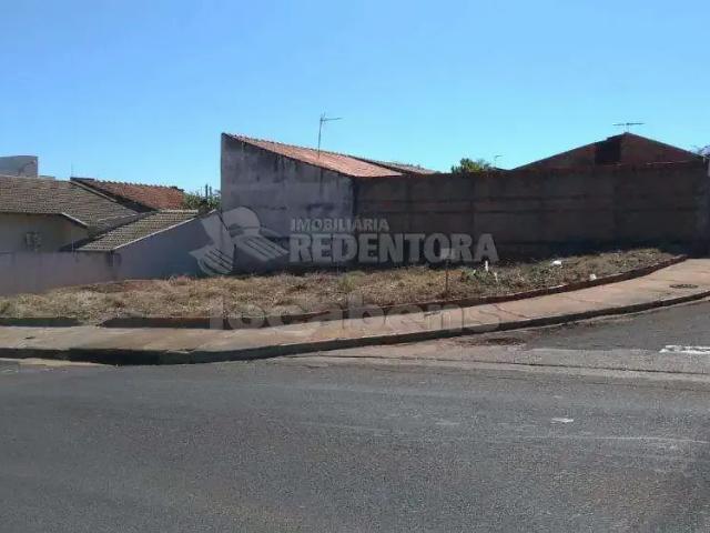Terreno / Lote para Venda em Mirassol/SP Residencial Regissol I