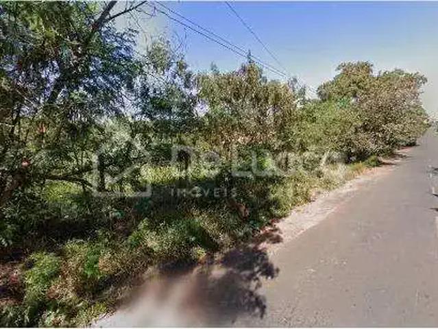Terreno / Lote para Venda em Monte Alegre do Sul/SP Jardim Roseira