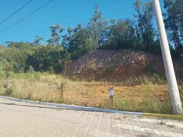 Terreno / Lote para Venda em Monte Belo do Sul/RS Centro